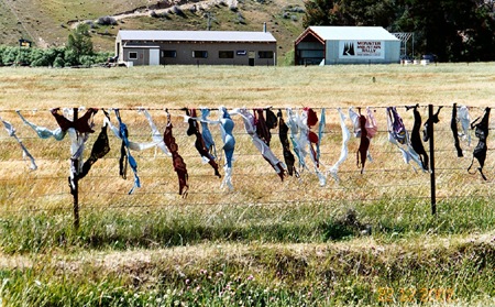 The Cardrona Bra Fence of New Zealand | Amusing Planet